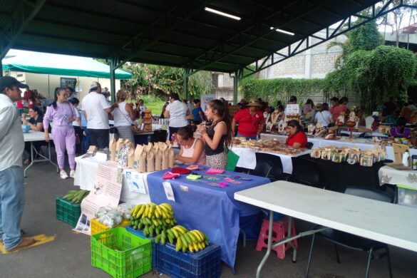 Personajes Limonenses » Periodico Línea Vieja